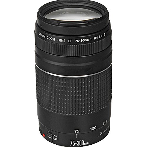 Canon EOS R10 Mirrorless Camera RF-S 18-150mm is STM + 75-300mm III + 420-800mm HD Lenses + Accessories: 2X 64GB Memory Cards, LED Video Light, Case & More (Renewed)