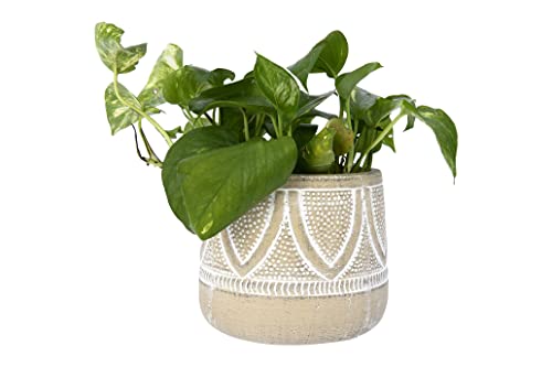 Creative Co-Op Embossed Terracotta Planter with Whitewash Finish (Holds 5" Pot