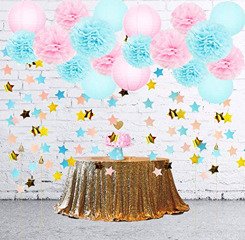 Twinkle Twinkle Little Star Gender Reveal Party Supplies Baby Shower Decorations Baby Blue Pink Paper Lanterns Pink Blue Gold Star Garland for Pink Blue Decorations/Gender Reveal Decorations