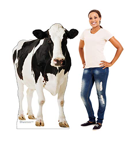 Advanced Graphics Cow Life Size Cardboard Cutout Standup