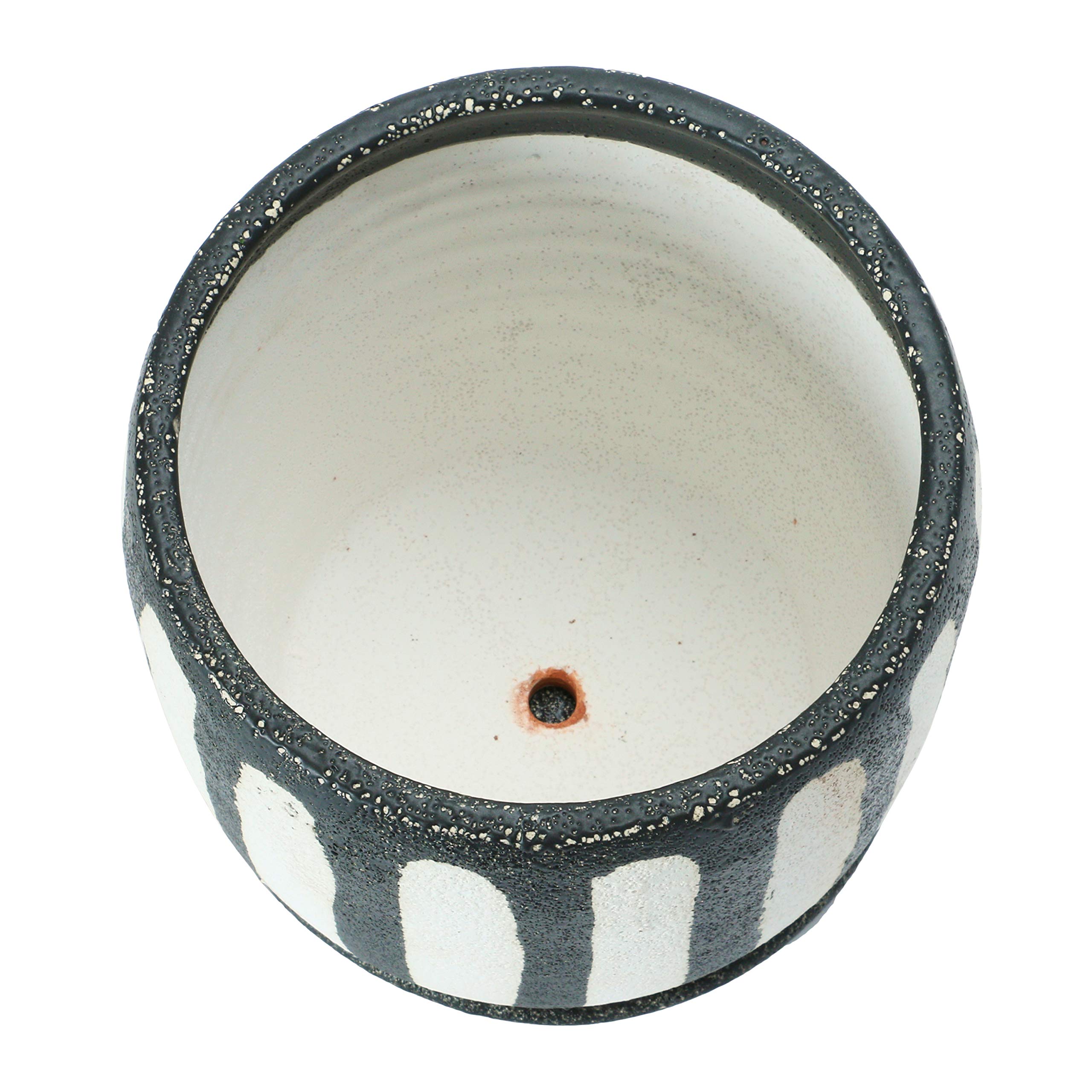 Creative Co-Op 7.5" L x 7.5" W x 8.3" H
