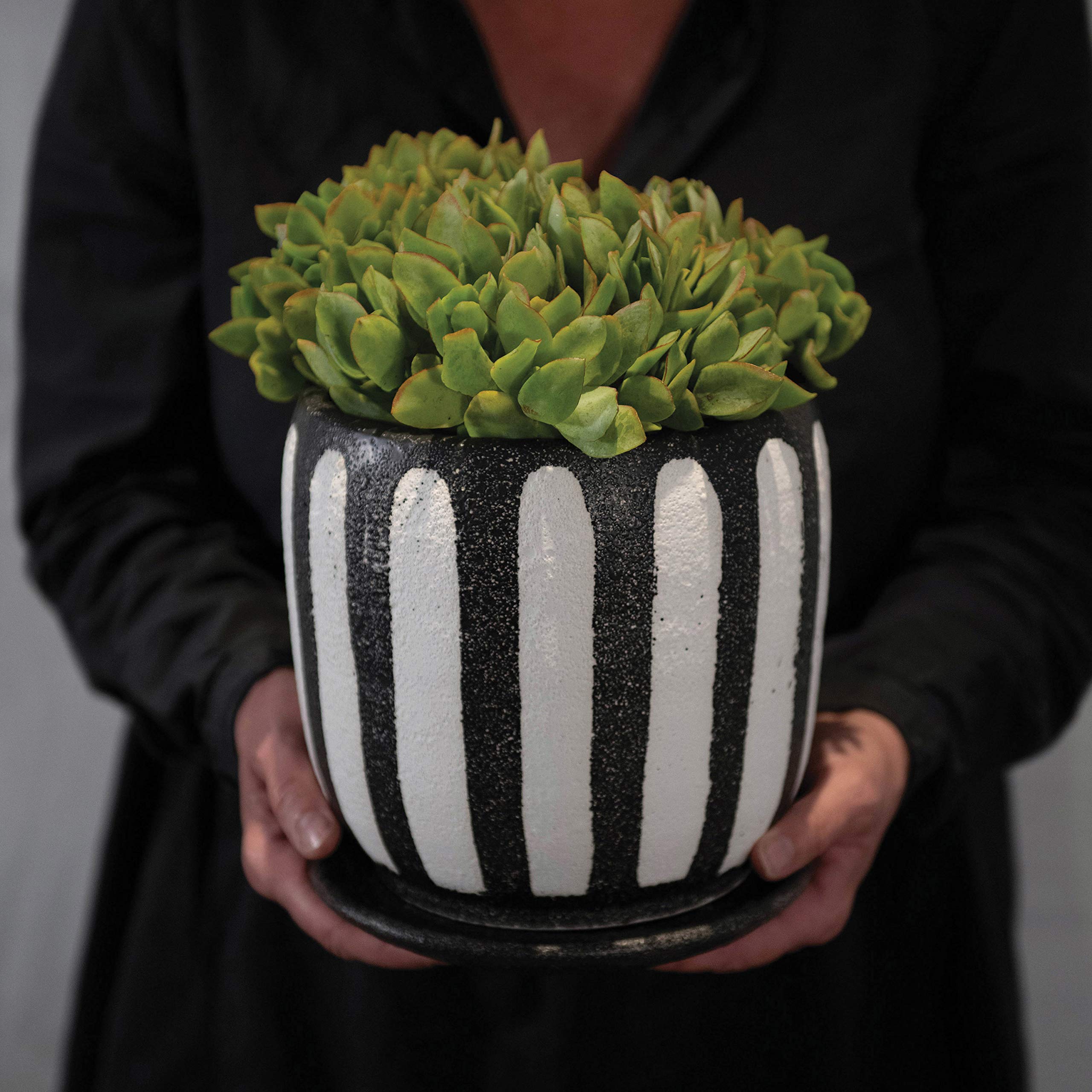 Creative Co-Op 7.5" L x 7.5" W x 8.3" H
