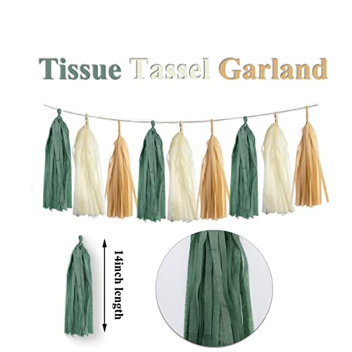 3 Pack Eucalyptus Sage Green Kraft Tan Brown Ivory Tissue Tassel Banner Garland Neutral Sage Baby Shower Boho Wedding Bridal Shower Birthday Party Backdrop Photo Prop Decoration