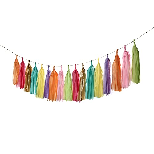 GUZON Tissue Paper Tassel DIY Party Garland Decor for All Events & Occasions ,40 Tassels Per Package