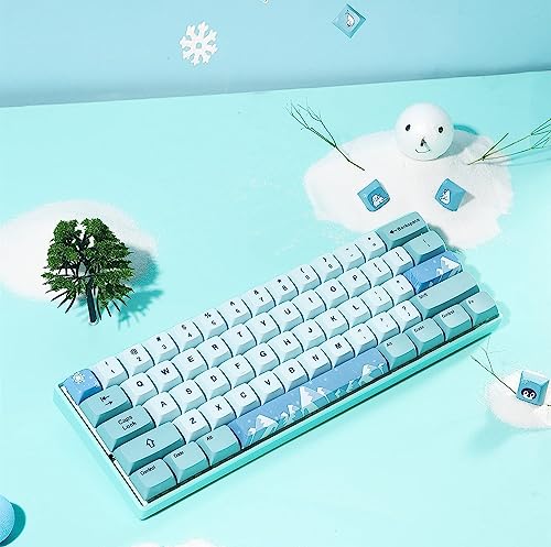 BOYI 61 Mini RGB Wired 60% Hot-Swappable Mechanical Gaming Keyboard,PBT Sublimation Keycaps NKRO Programmable Type-C Keyboard for Gaming and Working(BOYI Iceberg Snow Theme,Cherry MX Brown Switch)