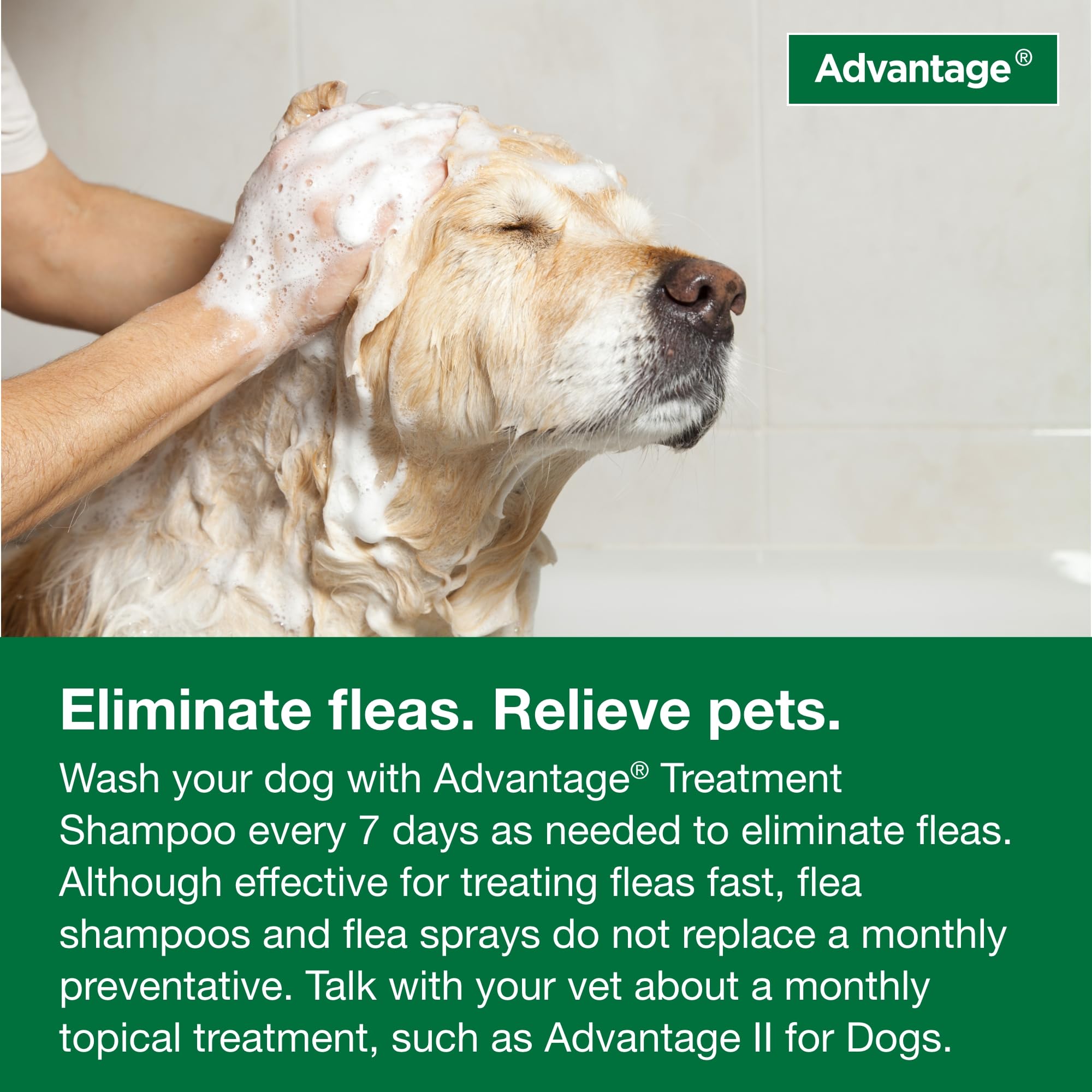 Advantage Dog Flea & Tick Shampoo for Puppies & Adult Dogs | Kills Fleas & Ticks | 24 oz.