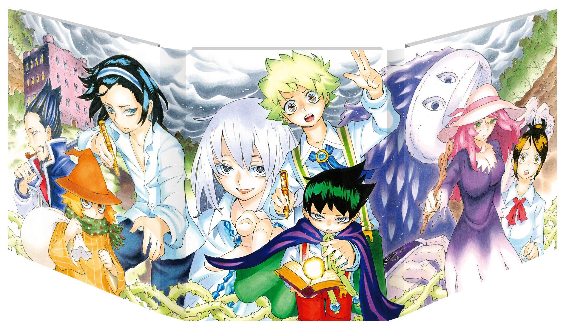 muhyo & Roji's Bureau of Supernatural Investigation Your Home or Office Magic Law Consult Complete DVD Box (first production Limited Edition)