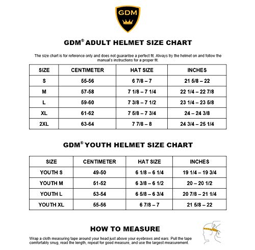 GDM Demon Motorcycle Helmet Full Face Matte Black (Tinted & Clear Shields, XL)