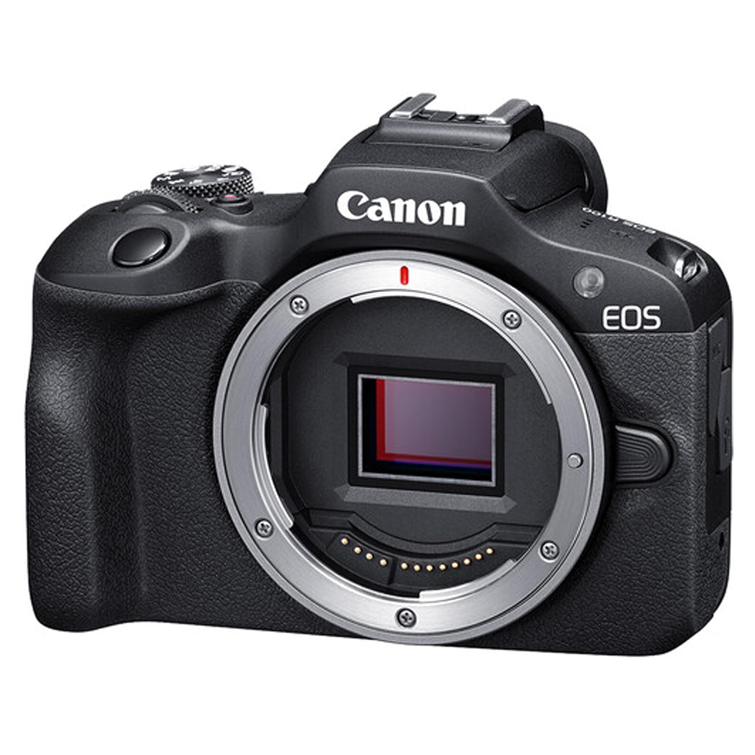 Canon EOS R100 Mirrorless Camera with 50mm Prime Lens + 64GB Memory Card, Case, Hood, Grip-Pod, Filter Professional Photo Bundle (Renewed)