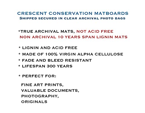 Picture Matboard | Custom Opening | Archival - Conservation Grade Mat | Black - White| 300 Years Lifespan (13x19, Black)