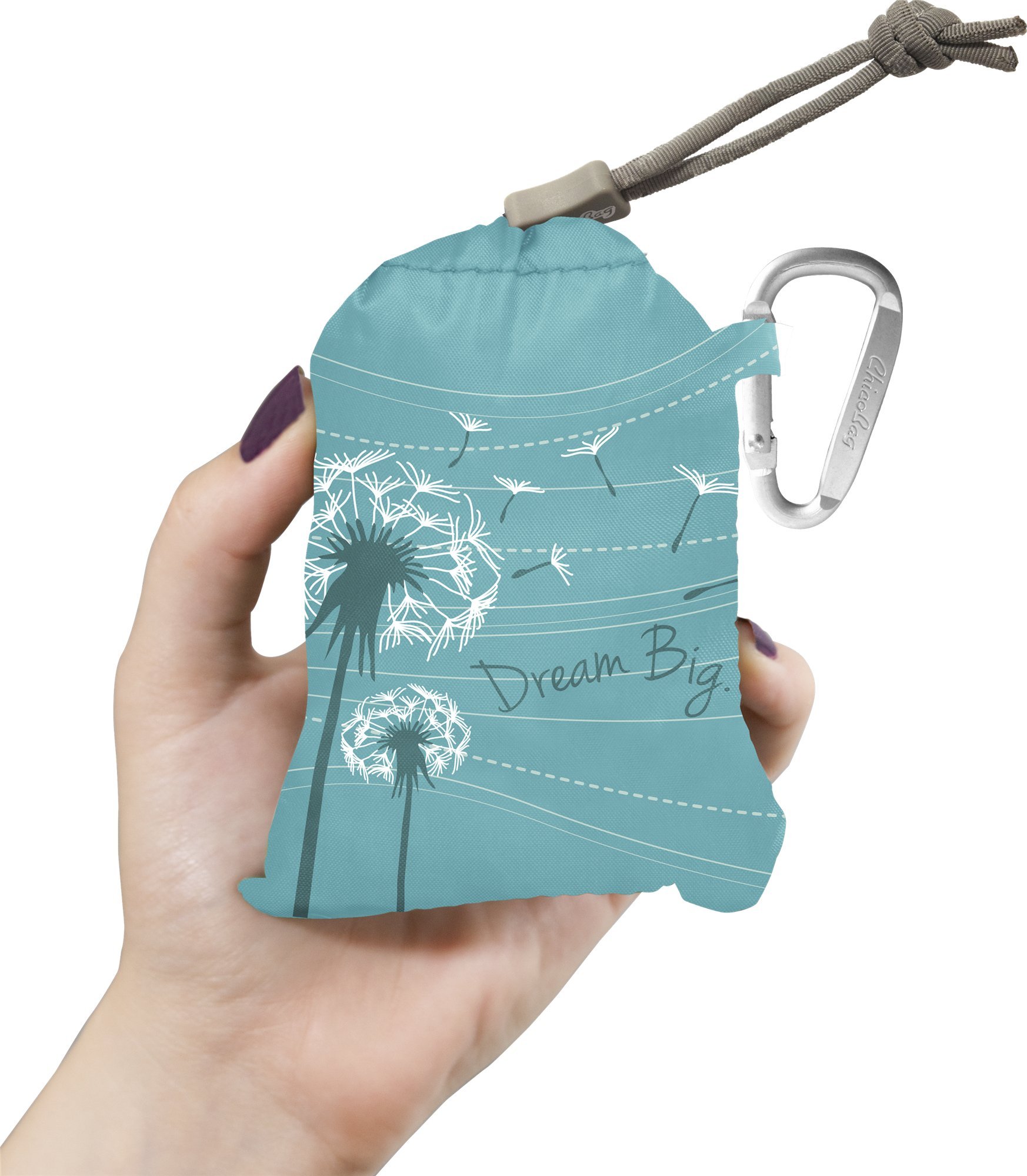 ChicoBag Vita Designer Reusable Tote Bag with Carabiner Clip | Compact Reusable Shopping Bags | Eco Friendly | Dream