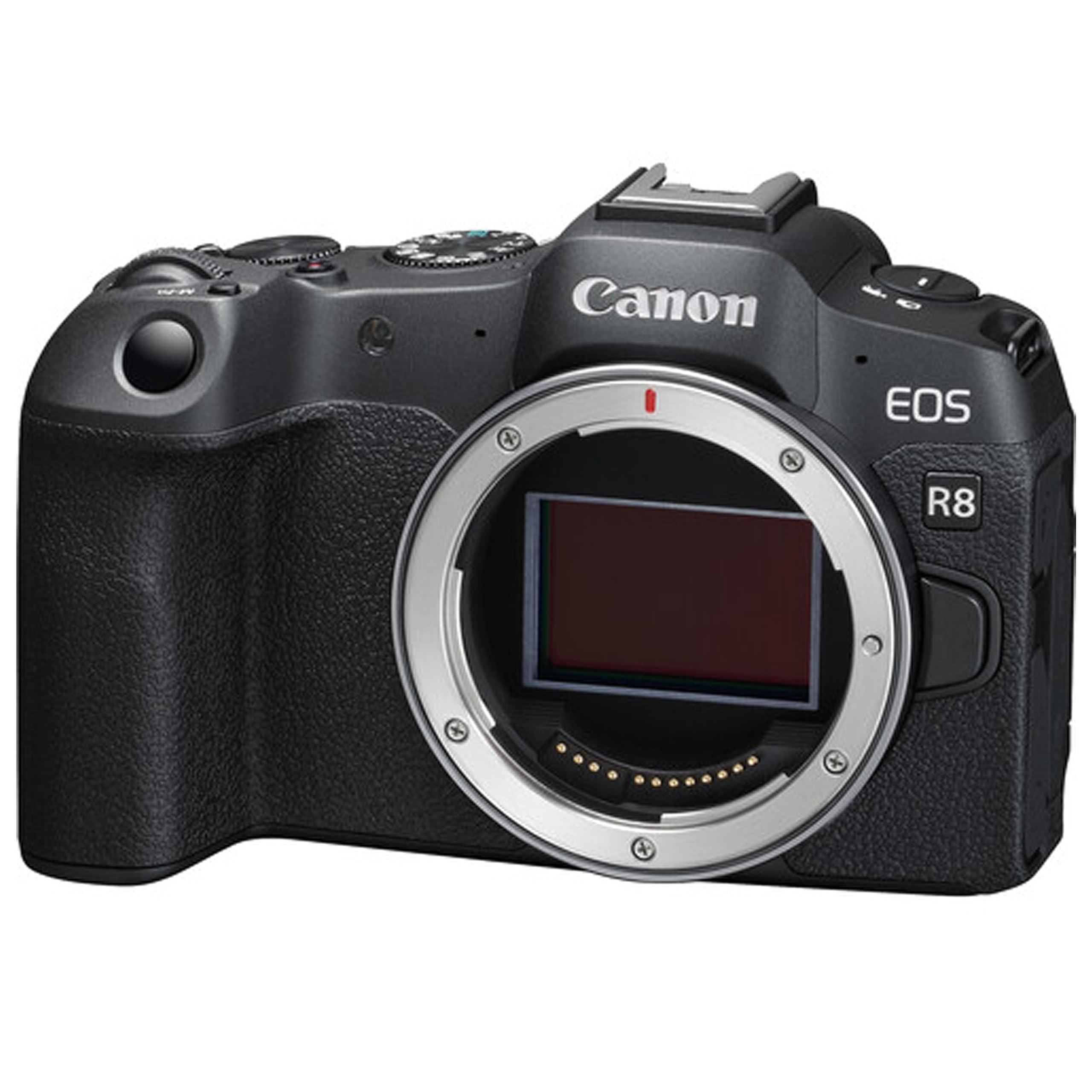 Canon EOS R8 Mirrorless Camera Body + 128GB Pro Speed Memory + EF-RF Lens Adapter + Led Video Light + DME 100 Microphone +Case + Tripod + Software Pack-Video Bundle (Renewed)