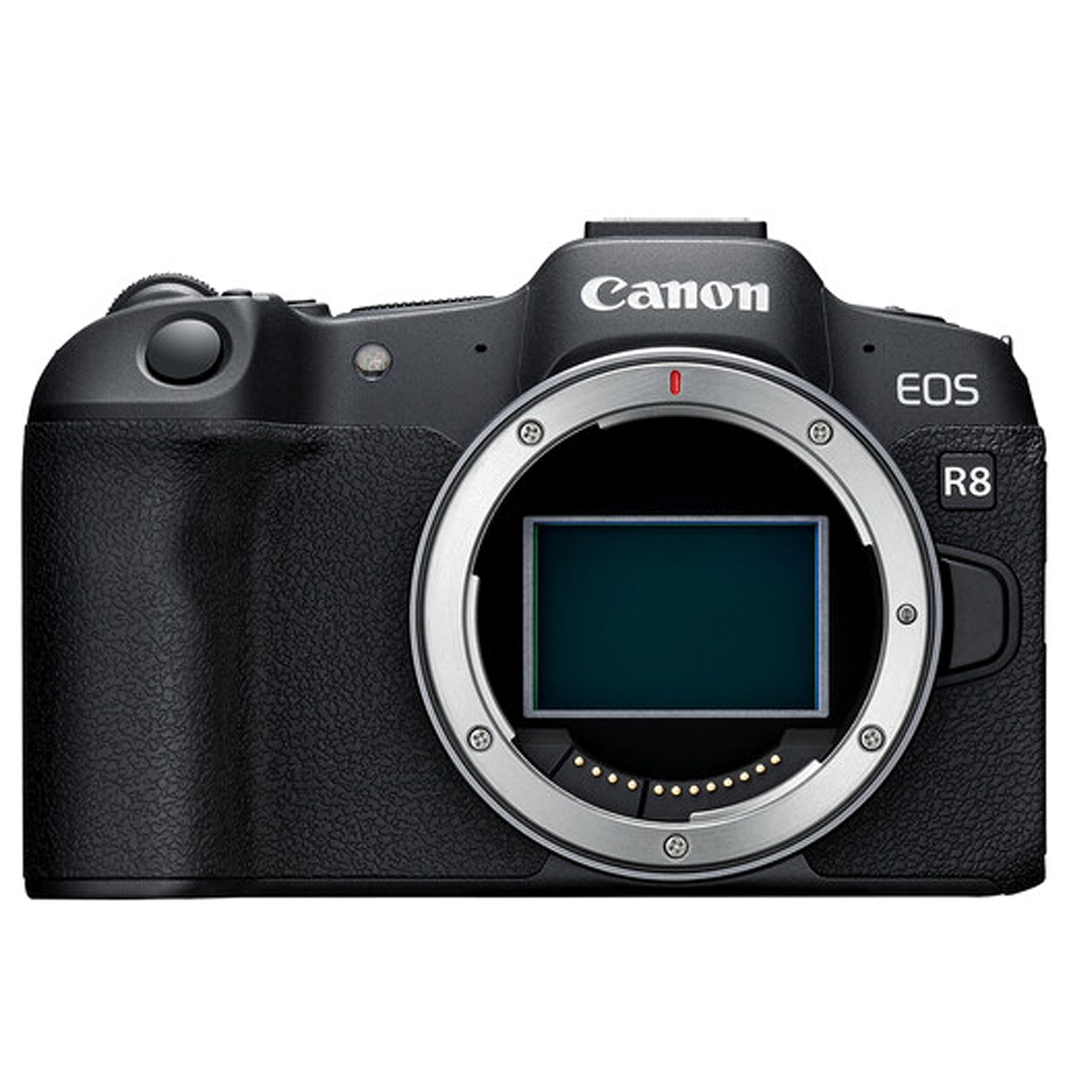 Canon EOS R8 Mirrorless Camera Body + 128GB Pro Speed Memory + EF-RF Lens Adapter + Led Video Light + DME 100 Microphone +Case + Tripod + Software Pack-Video Bundle (Renewed)
