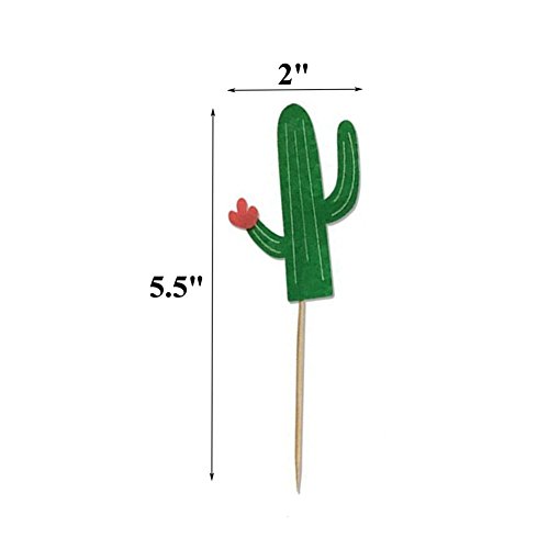 TianJi 24 Cactus Cupcake Toppers Picks Sticks Happy Birthday Cake Decorations for Luau Hawaiian Summer Beach Party Supplies