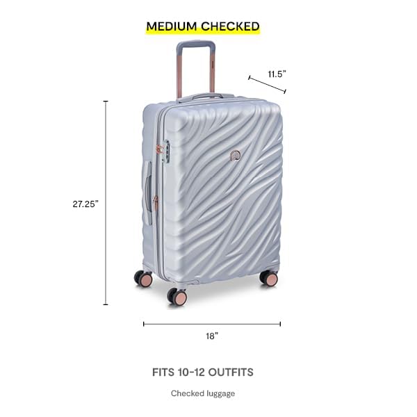 Delsey Paris Alexis Durable Luggage, Expandable Lightweight 4-Wheel Spinner, Easy Grip Handles for Smooth Mobility, TSA-Lock Incorporated, Men and Women, Platinum/Rose Gold, Check-In 25-Inch