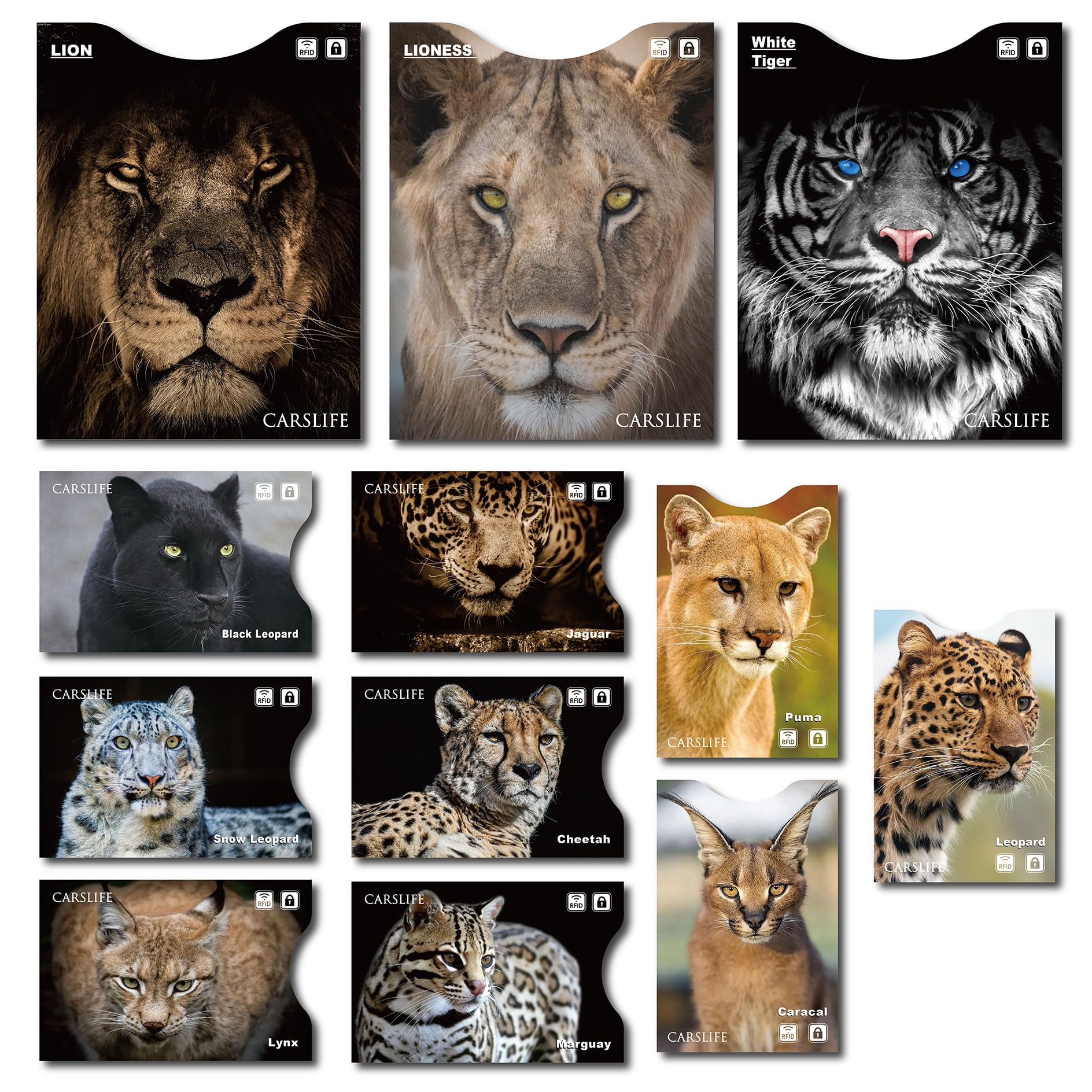 CARSLIFE 12 RFID Blocking Sleeves (9 Credit Card & 3 Passport Protectors) Premium Identity Theft Protection Secure Sleeves Travel Case Cat Design