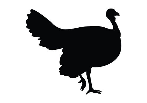 8x10 Turkey Style 2 Stencil Made from 4 Ply Matboard