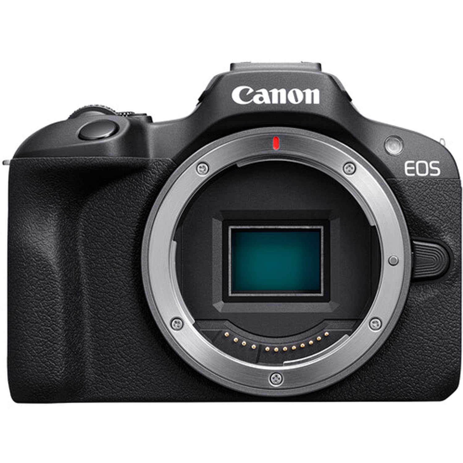 Canon EOS R100 Mirrorless Camera with 18-45mm, 75-300mm and 420-800mm f/8.3 HD Telephoto Zoom + Lens Filters + CASE + Accessory Bundle (Renewed)