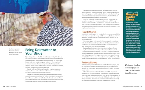 Hentopia: Create a Hassle-Free Habitat for Happy Chickens; 21 Innovative Projects