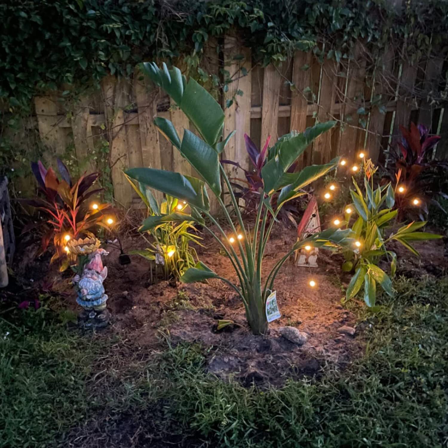 OZS πππππ€ ππ¨πππ₯ πππππ Solar Garden Lights - Solar Firefly Lights Outdoor Solar Swaying Light Sway by Wind Solar Fairy Lights Outdoor Waterproof for Patio Garden Decoration (Warm White)
