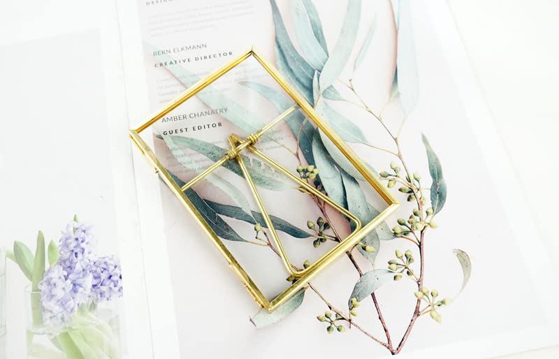 WONTHAI Gold Picture Frame - 4x6 Antique Brass Postcard Picture Frame for Desk - Small Pressed Glass Frame for Pressed Flowers - Floating Vertical (4 * 6 vertical)…