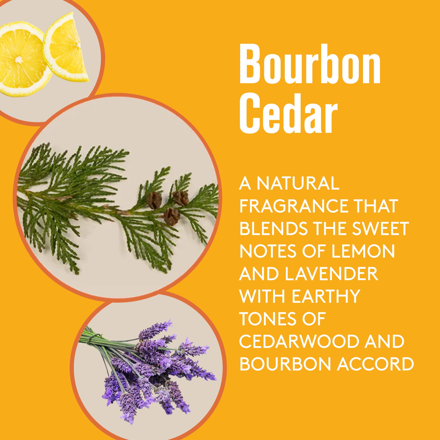 Barrel and Oak - Aluminum-Free Deodorant, Deodorant for Men, Essential Oil-Based Scent, 24-Hour Odor Protection, Cedarwood & Bourbon Aroma, Gentle on Sensitive Skin (Bourbon Cedar, 2.7 oz, 2-Pack)