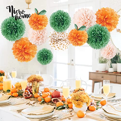 NICROHOME Little Cutie Baby Shower Decorations, 12 PCS Light Orange Green Tissue Paper Pom Poms for Party Decorations, Birthday, Spring Summer Party, Fruit Themed Parties