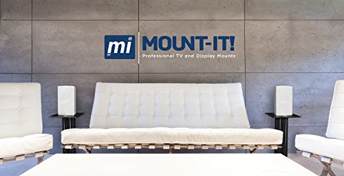 Mount-It! Floor Speaker Stands for Satellite Speakers and Surround Sound (5.1 and 2.1) Systems, Glass and Aluminum, 18 Inches Height, 22 Lbs Weight Capacity, Black