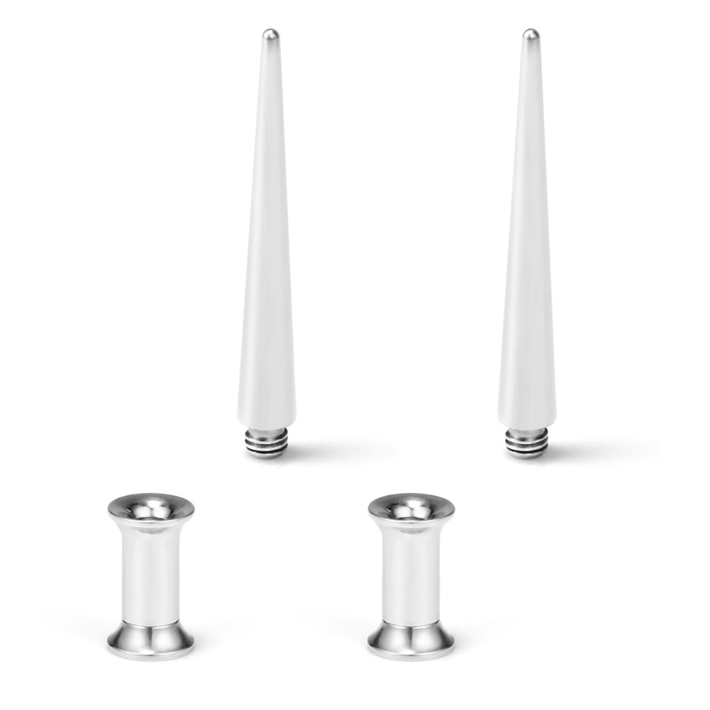 Ruifan Unisex Pair 2 in 1 Stainless Steel Screw Fit Interchangeable Taper Plug Piercing Ear Tunnel Stretcher Expander 6G(4mm) Gauge