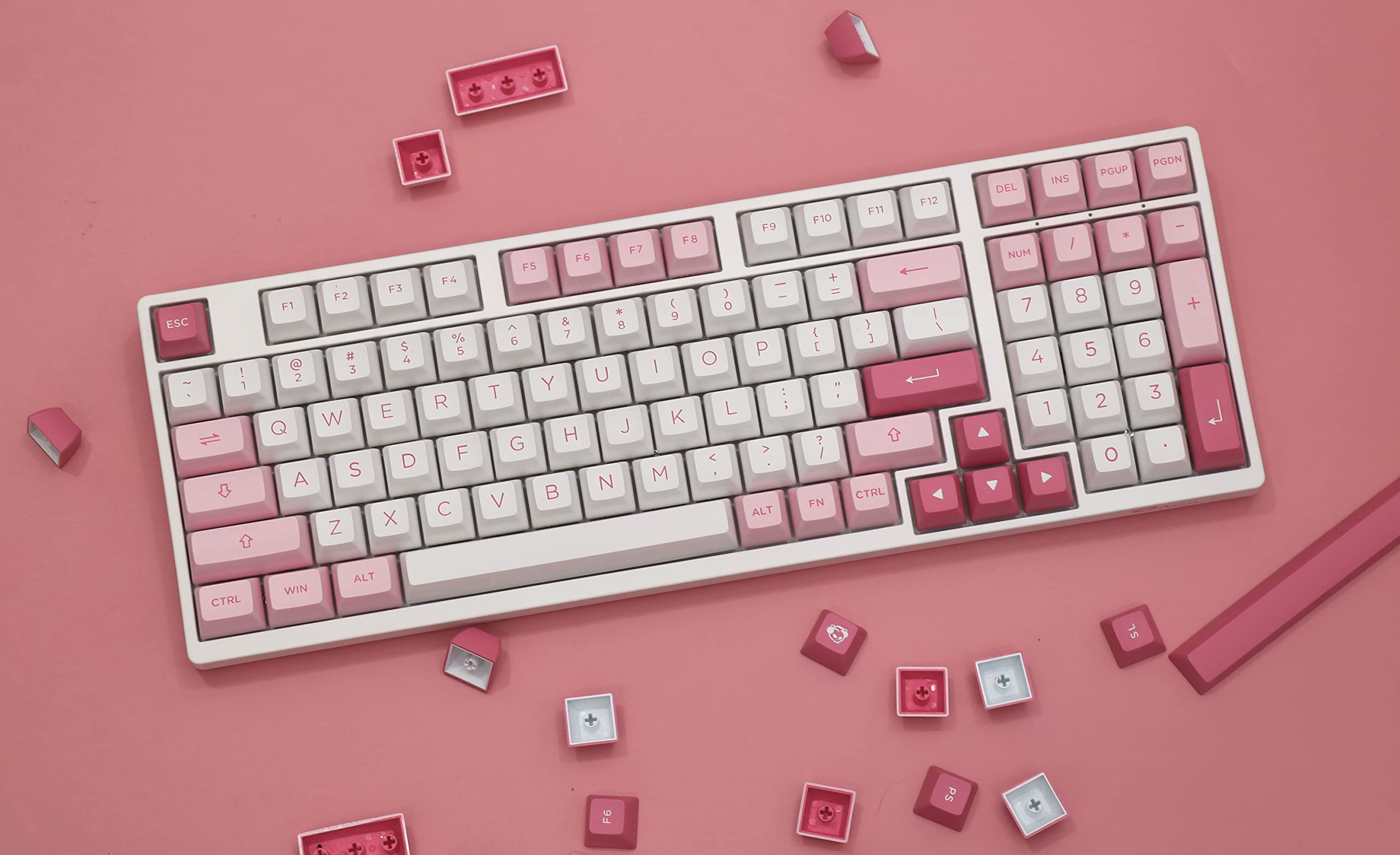 EPOMAKER Prunus Lannesiana 3098B 98 Keys Hot-Swap 2.4Ghz Wireless/Bluetooth/Wired Mechanical Keyboard with RGB Backlight, PBT Keycaps for Gamers (CS Jelly Pink, 3098B Prunus Lannesiana)
