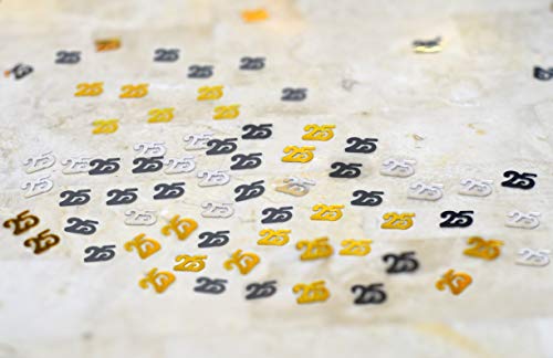 25th Birthday Party Decorations and Anniversary Pack - Cheers to 25 Years Banner, Balloons, Swirls and Confetti Party Supplies