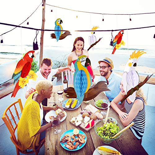 TUPARKA 6 Pieces Tropical Birds Honeycomb Parrot Hawaiian Summer Beach Tiki Bar Luau Party Home Classroom Hanging Decorations(Parrot)