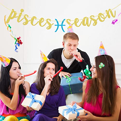 Pisces Season Birthday Banner Zodiac Birthday Party Decorations February March Astrology Sign Gold Glitter String Decor