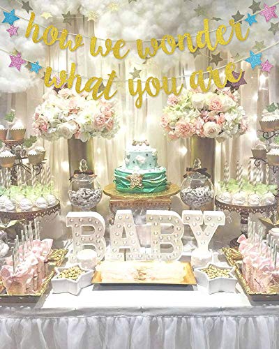 How We Wonder What Your are Glitter Banner Pre-Strung for Twinkle Twinkle Little Star Gender Reveal Party Decorations