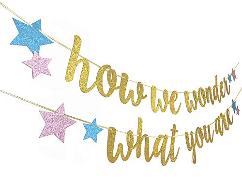 How We Wonder What Your are Glitter Banner Pre-Strung for Twinkle Twinkle Little Star Gender Reveal Party Decorations
