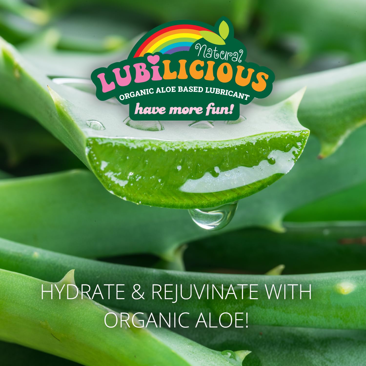 Lubilicious Organic Aloe Water Based Personal Lubricant - Natural Lube - Aloe Lube - Natural Lubricant - Water Based Lube Gel Glycerin Paraben Free - Personal Lube