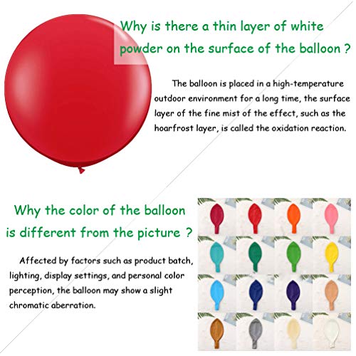 24 Inch Latex Round Balloons 10 Pack White Thick Big Balloons for Photo Shoot Wedding Baby Shower Birthday Party Decorations by IN-JOOYAA