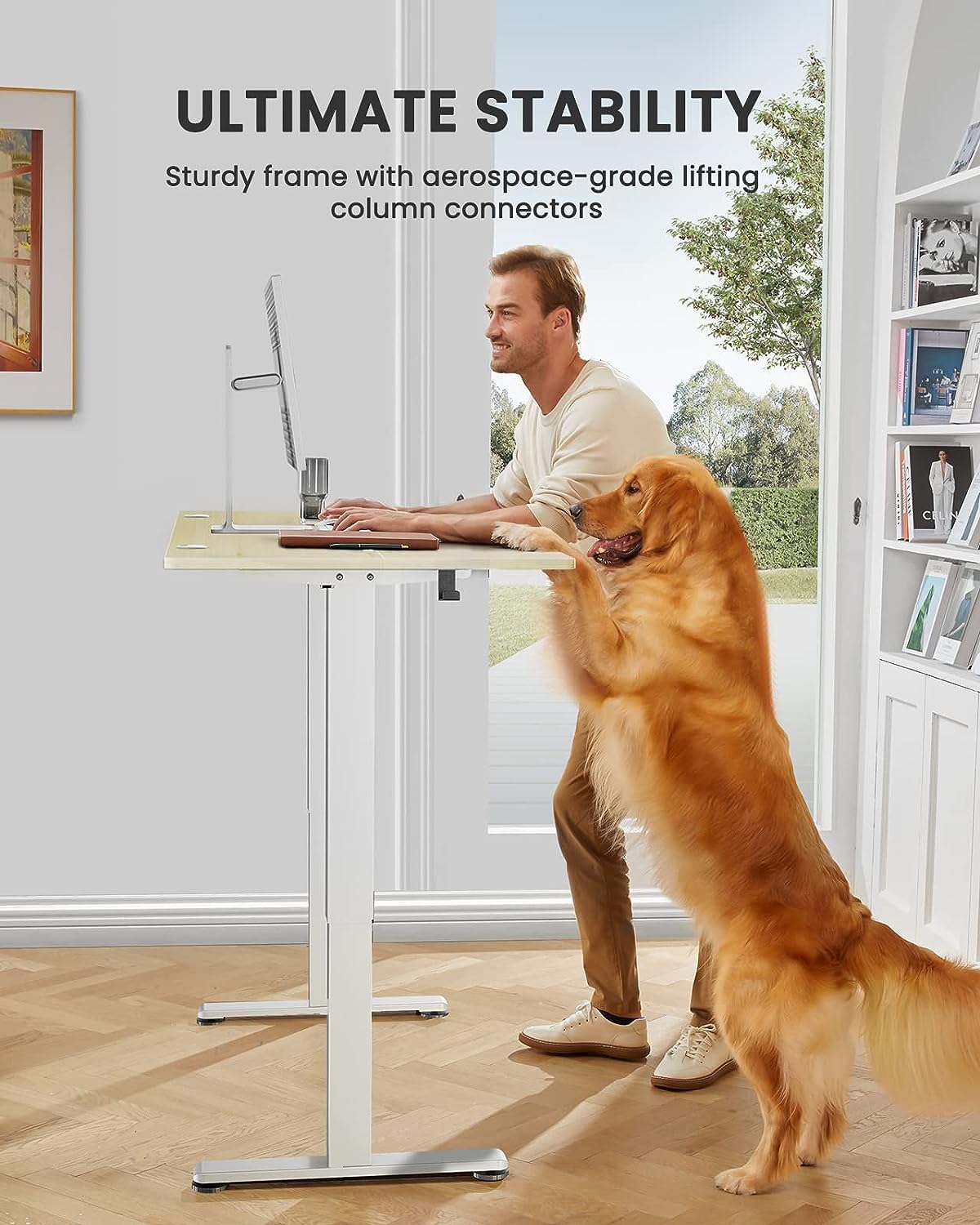 ErGear Height Adjustable Electric Standing Desk, 48 x 24 Inches Sit Stand up Desk, Memory Computer Home Office Desk (Natural)