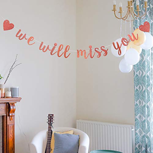 Rose Gold Glitter We Will Miss You Banner--Retirement Party Decorations Sign-Going Away Party Decor-Farewell Party Decorations-Office Work Party Decorations
