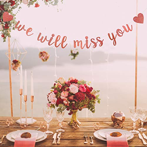 Rose Gold Glitter We Will Miss You Banner--Retirement Party Decorations Sign-Going Away Party Decor-Farewell Party Decorations-Office Work Party Decorations