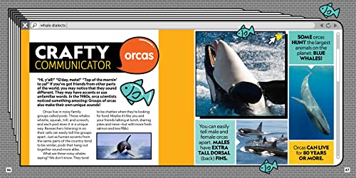 Critter Chat: What if Animals Used Social Media?