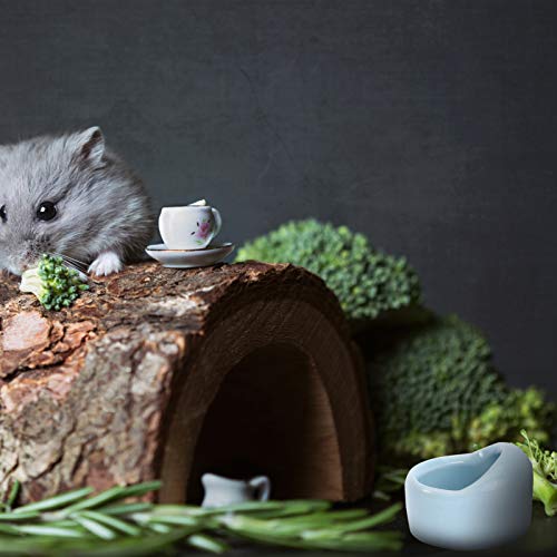 Mipcase Hamster Ceramic Bowl- Small Animal Food Bowl, No Spill Food Water Dish for Hedgehog Gerbil Chinchilla Rat Ferret ( Blue )