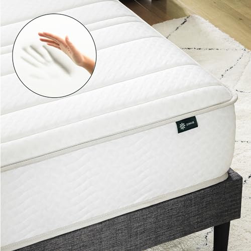 ZINUS 8 Inch Foam and Spring Hybrid Mattress [New Version], Queen, Fiberglass Free, Medium Firmness, Durable Support, Certified Safe Foams & Fabric, Mattress in A Box