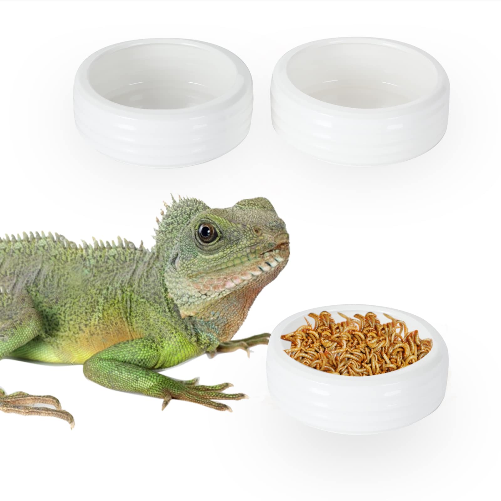 Reptile Food Bowls Ceramic Round Reptile Water Food Dish, Pet Food Bowl for Lizards, Small Snakes, Young Bearded Dragons, Gecko Tortoise Spider (White, Medium-2Pack)