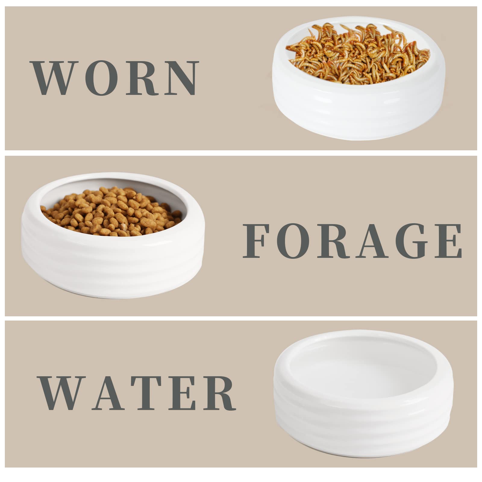 Reptile Food Bowls Ceramic Round Reptile Water Food Dish, Pet Food Bowl for Lizards, Small Snakes, Young Bearded Dragons, Gecko Tortoise Spider (White, Medium-2Pack)