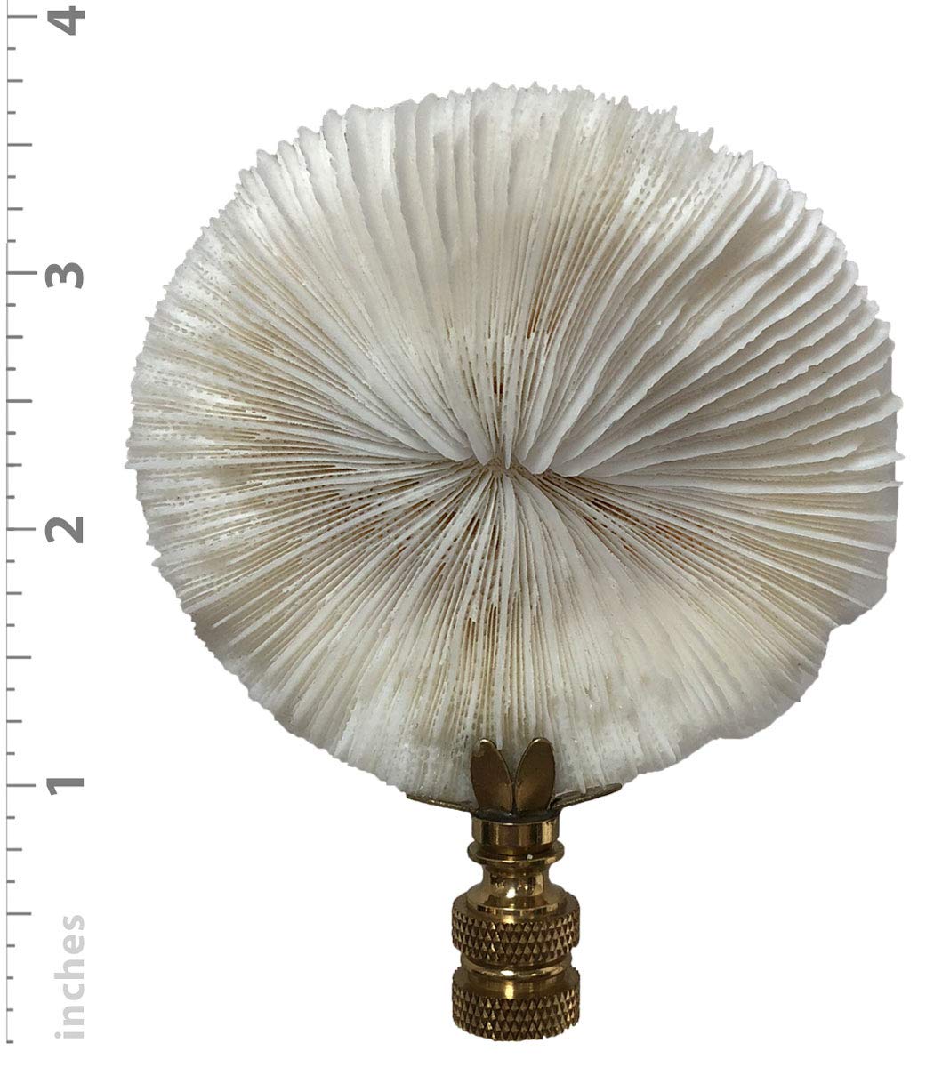 Royal Designs Natural Coral 3.75" Lamp Finial for Lamp Shade, White Mushroom Coral, Polished Brass Base - Set of 2