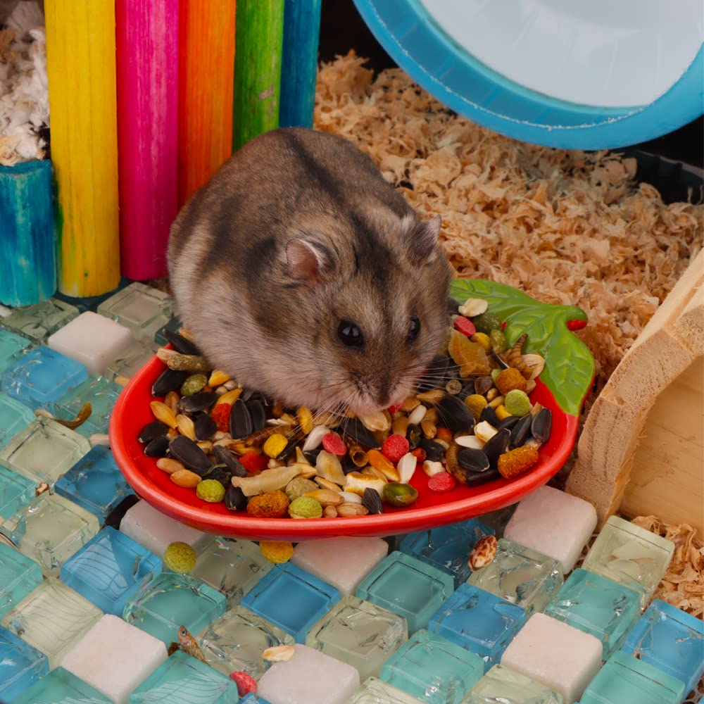 2 Pcs Hamster Ceramic Food Bowl, Cute Shape Anti-Turning Dish for Hamster Gerbil Hedgehog Guinea Pig Rat Rodent