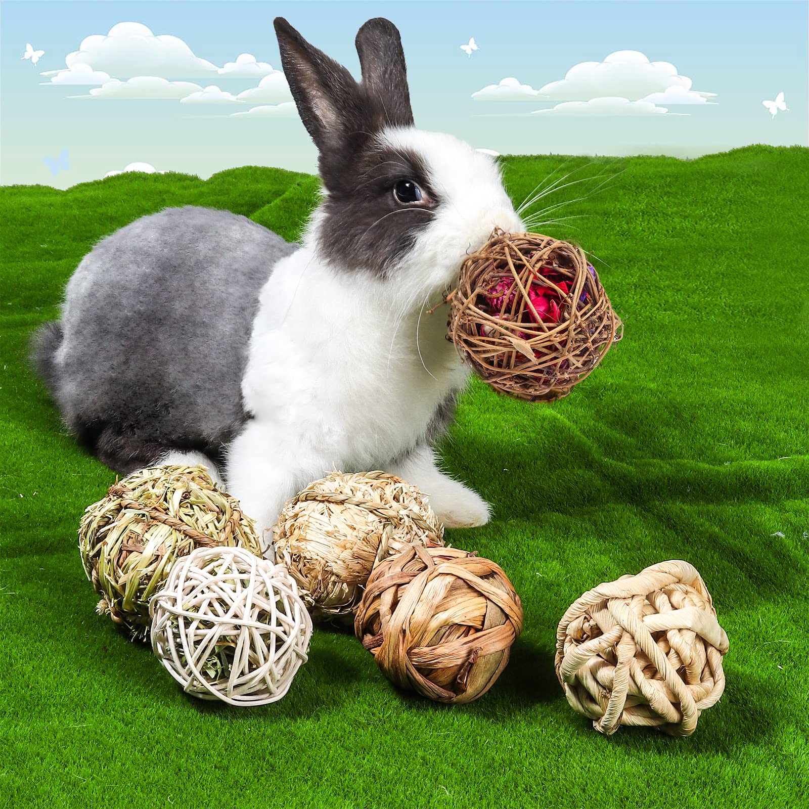 DAMPET Small Animals Play Balls, Chew Grass Balls & Rolling Chew Toys for Bunny, Improve Pets Dental Health for Rabbit, Chinchilla, Guinea Pigs, Hamsters, Gerbils, Rats, Mice (6 Pieces)