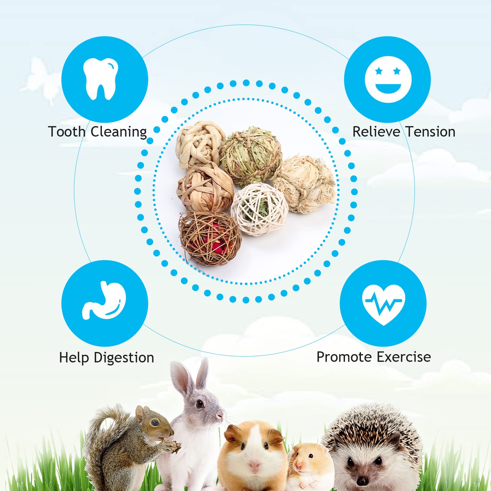 DAMPET Small Animals Play Balls, Chew Grass Balls & Rolling Chew Toys for Bunny, Improve Pets Dental Health for Rabbit, Chinchilla, Guinea Pigs, Hamsters, Gerbils, Rats, Mice (6 Pieces)