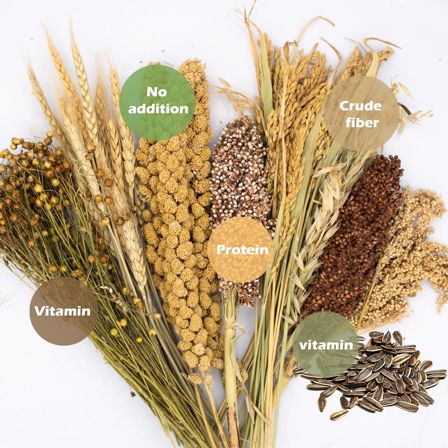 NICERINC PET Natural Ear of Grain Flower&Herb Bedding Mate Habitat Decor, Adding Fun Hamster Accessories for Hamsters Gerbils Lemming